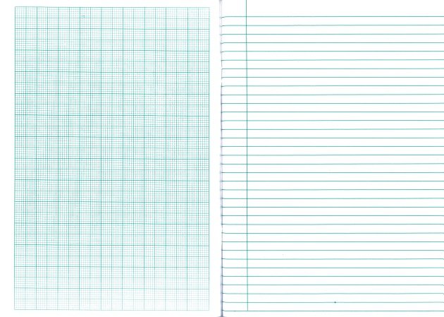 Science Book A4 Ruled/Graph